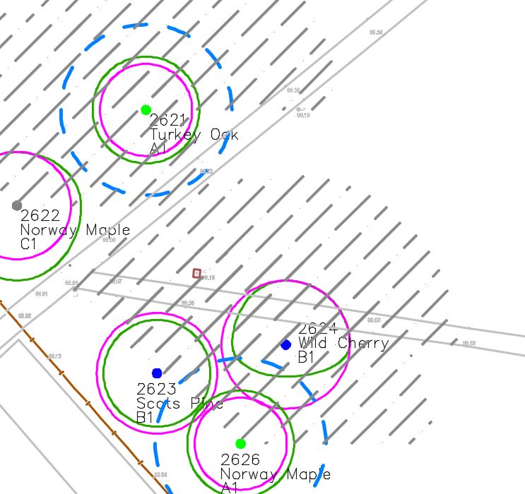 Design and Planning – Andrew Belson