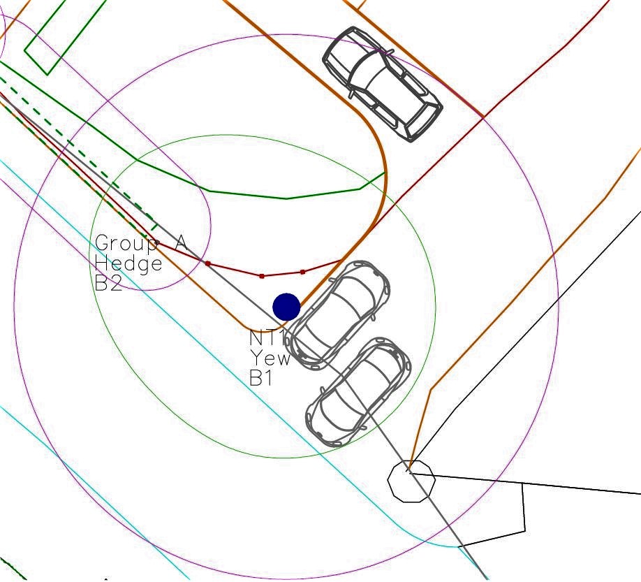 Design and Planning – Andrew Belson