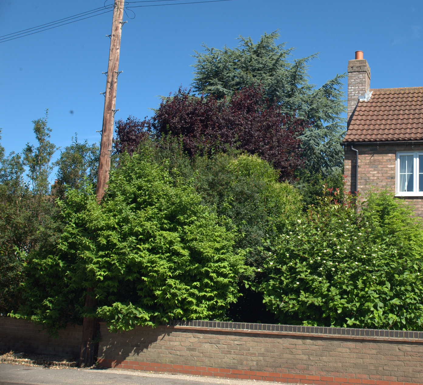 Incensed! – Andrew Belson