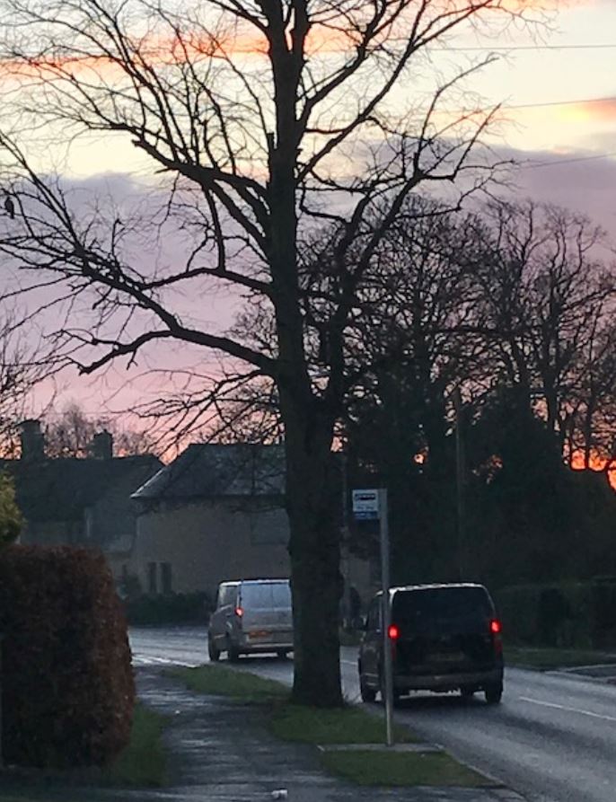 We could do better – Andrew Belson