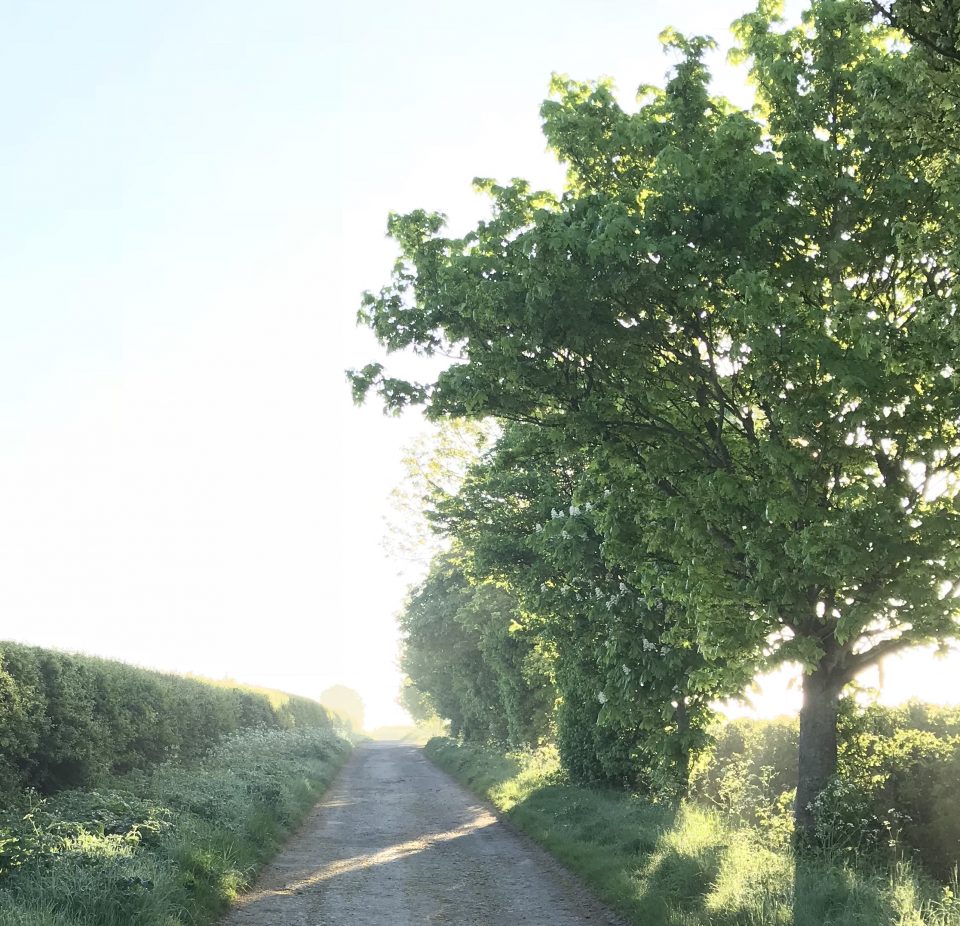 New development – Andrew Belson